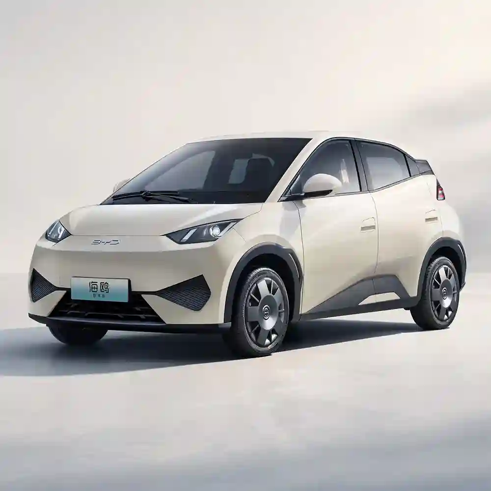 BYD 2025 Seagull Intelligent Driving Edition - Wuxi BYD Auto